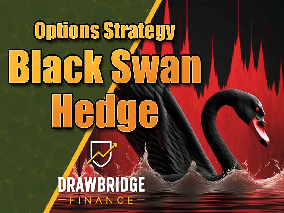 Option Trader's Black Swan Hedge Tracker – Drawbridge Finance